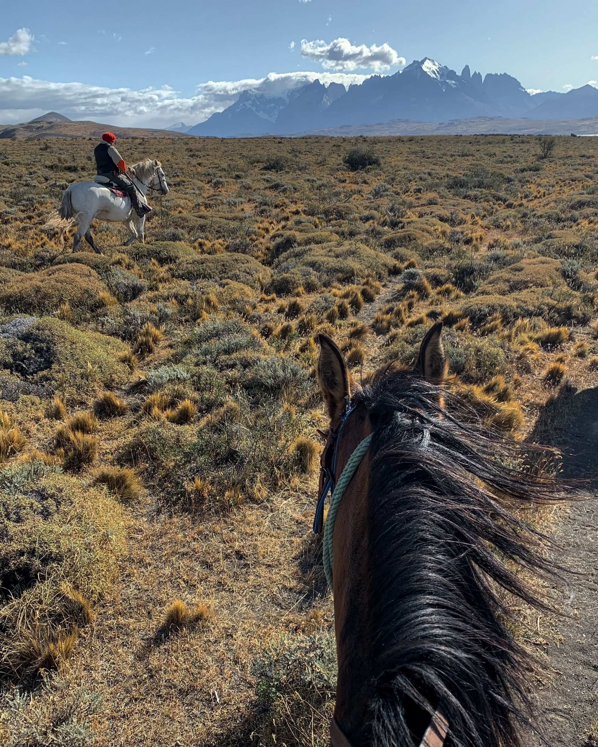 EXPÉRIENCE HORS DU COMMUN AU TIERRA PATAGONIA, TORRES DEL PAINE – La ...